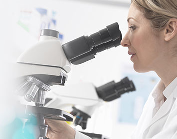 Crystal Pharmatech: Pharmaceutical CDMO & CRO Services Company