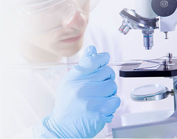 Crystal Pharmatech: Pharmaceutical CDMO & CRO Services Company